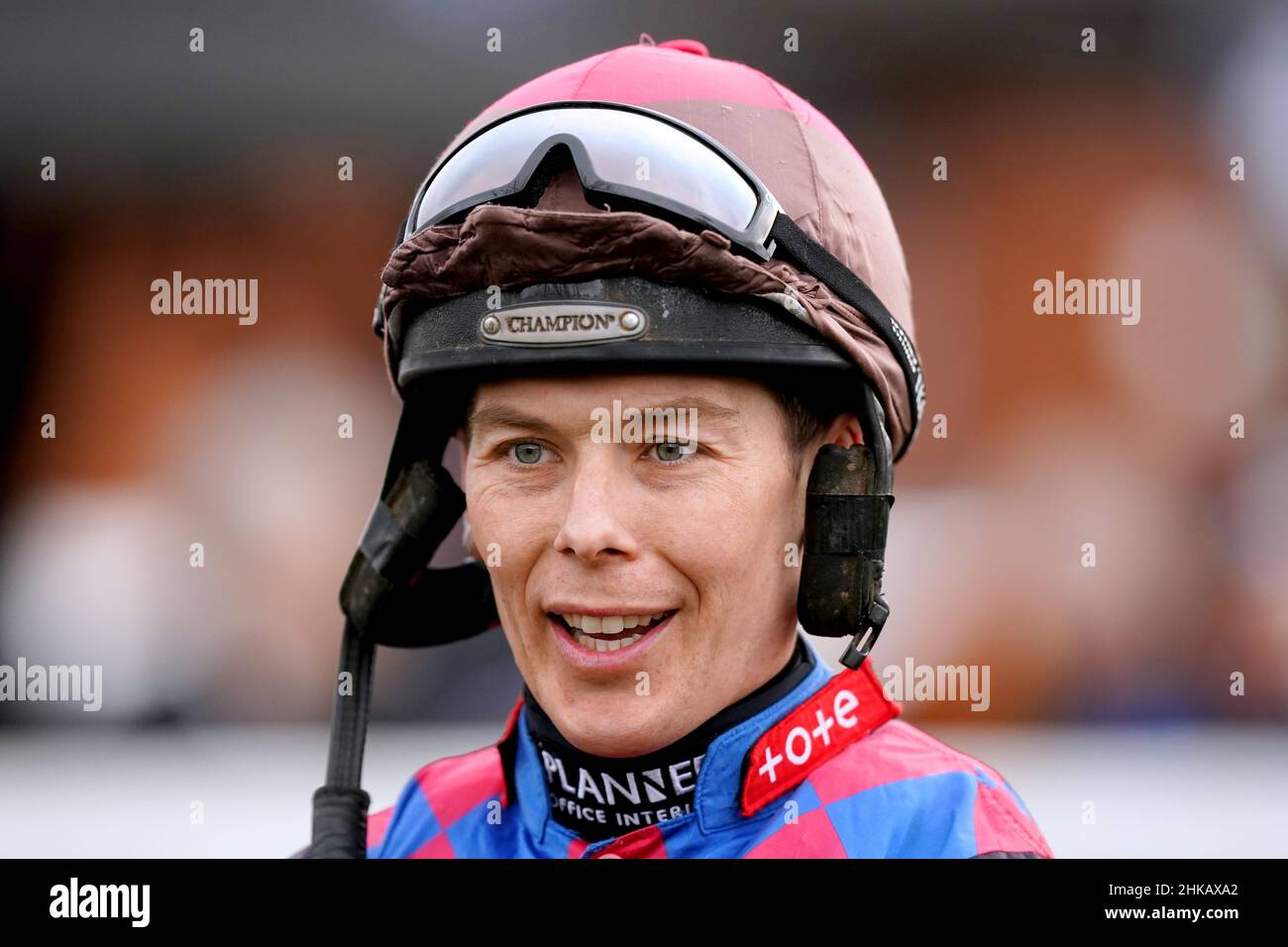 Golden miller horse hi-res stock photography and images - Alamy