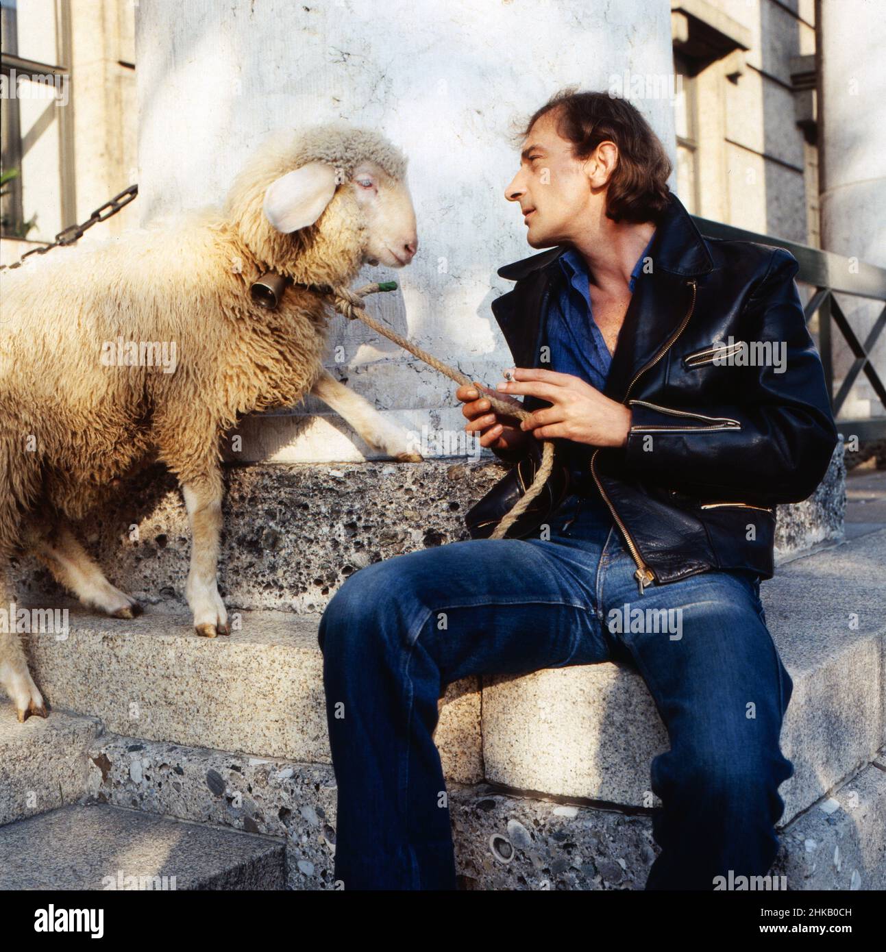 Hirsch mit hi-res stock photography and images - Alamy