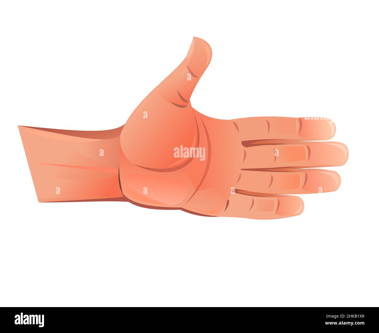 Palm of hand extended for handshake. Object isolated on white ...