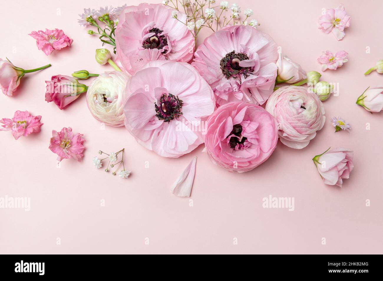 Floral arrangments of tender ranunculus flowers Stock Photo - Alamy