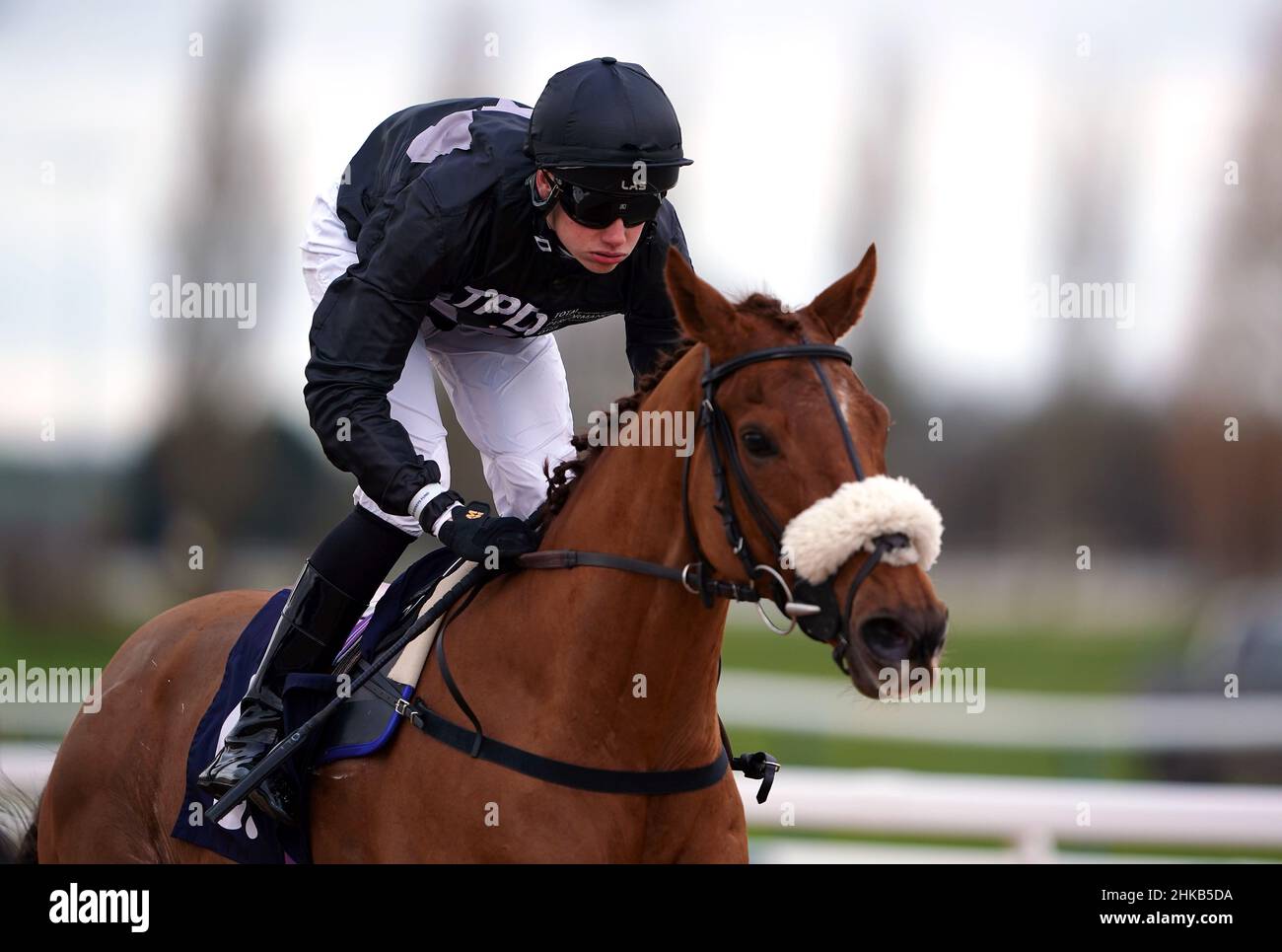 Oliver stammers hi-res stock photography and images - Alamy