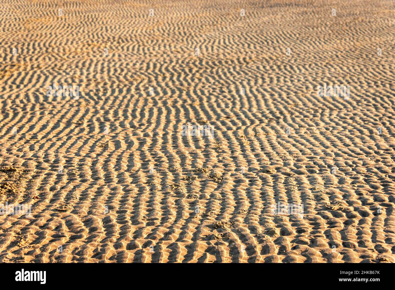 Rippled sandy beach hi-res stock photography and images - Alamy