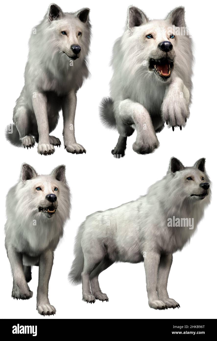 3d render animal hi-res stock photography and images - Alamy