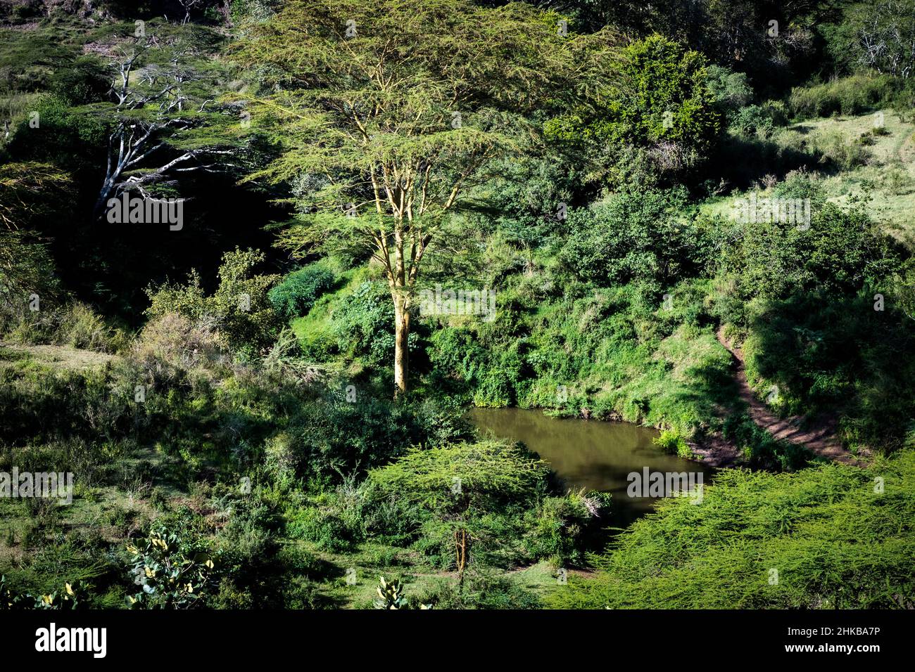 Aerial view of a waterhole hi-res stock photography and images - Alamy