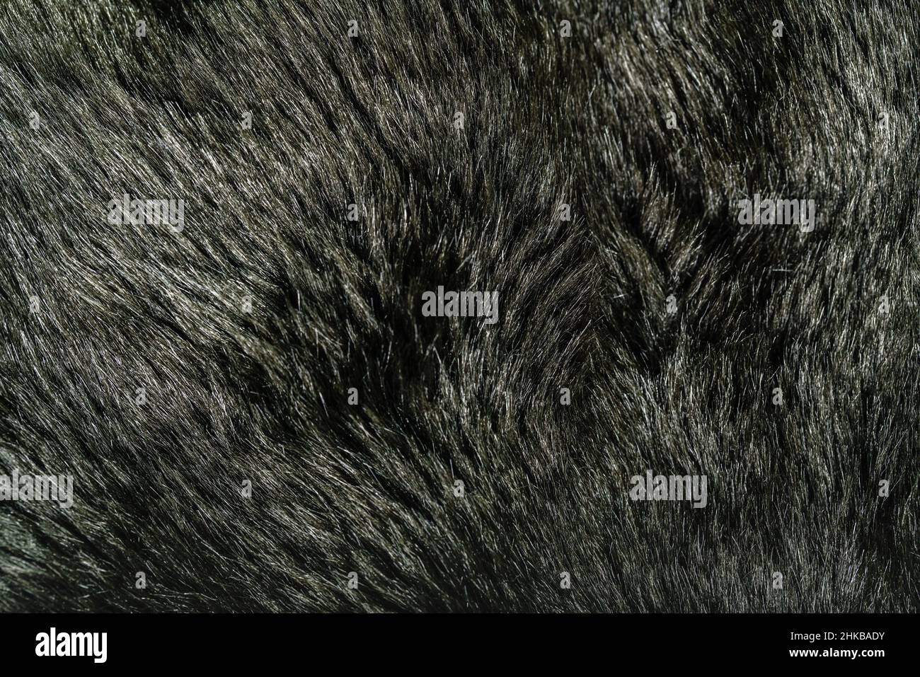 abstract background of faux fur texture closeup Stock Photo - Alamy