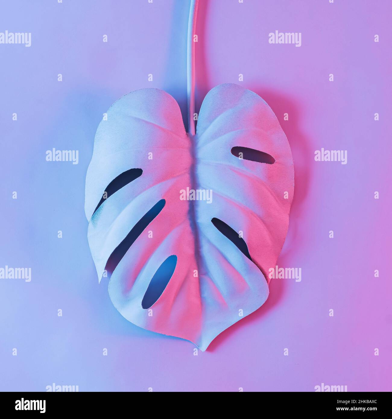 Creative leaf of monstera plant is white in neon color. Concept ...
