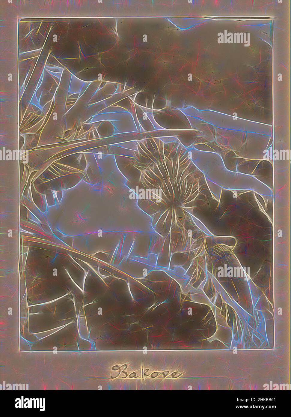 Inspired by Bakove, A bunch of bananas in a banana tree (bakove ...