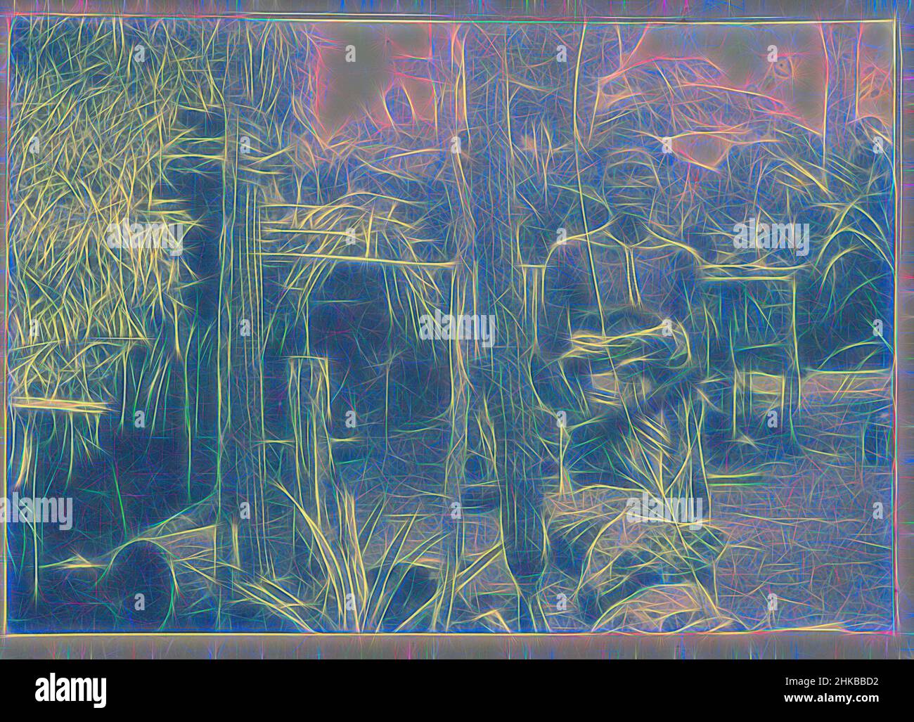 Inspired by Woman Koejaké with matapi, A woman (possibly named Koejaké ...