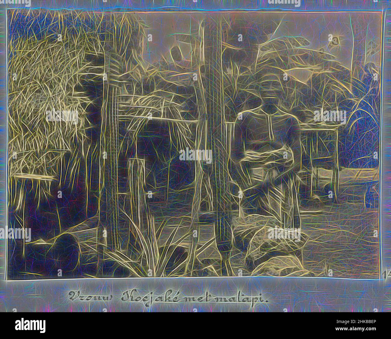 Inspired by Woman Koejaké with matapi, A woman (possibly named Koejaké ...