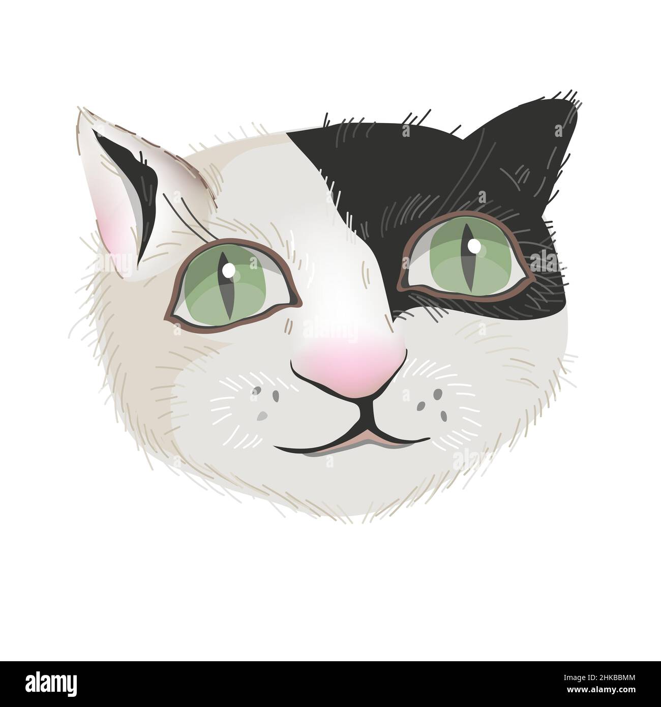 Humorous cat design Cut Out Stock Images & Pictures - Alamy