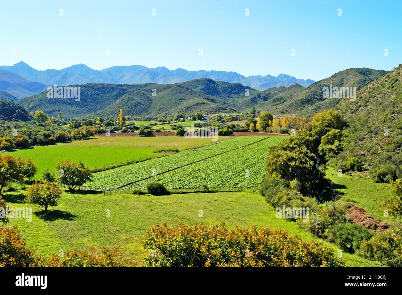 Countryside, near Oudtshoorn, South Africa Stock Photo - Alamy