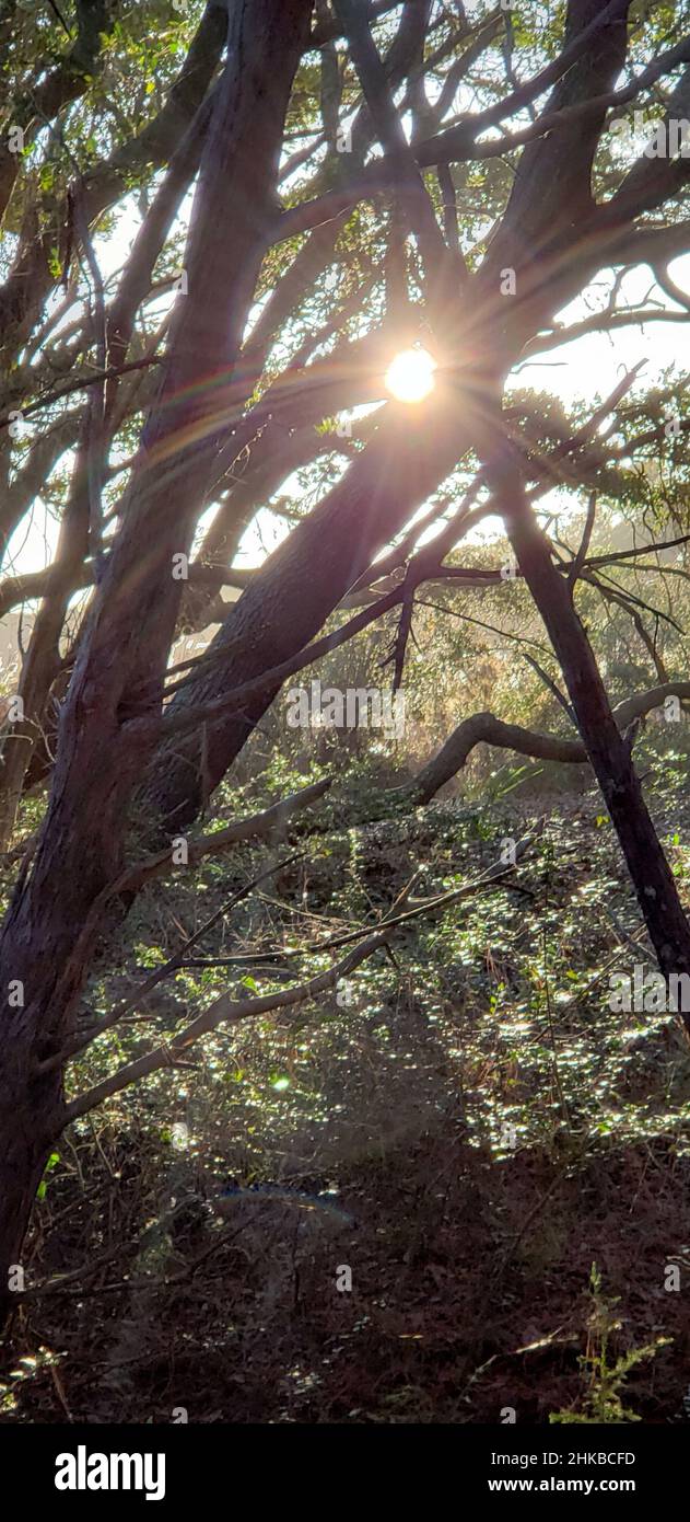 Huntington state forest hi-res stock photography and images - Alamy