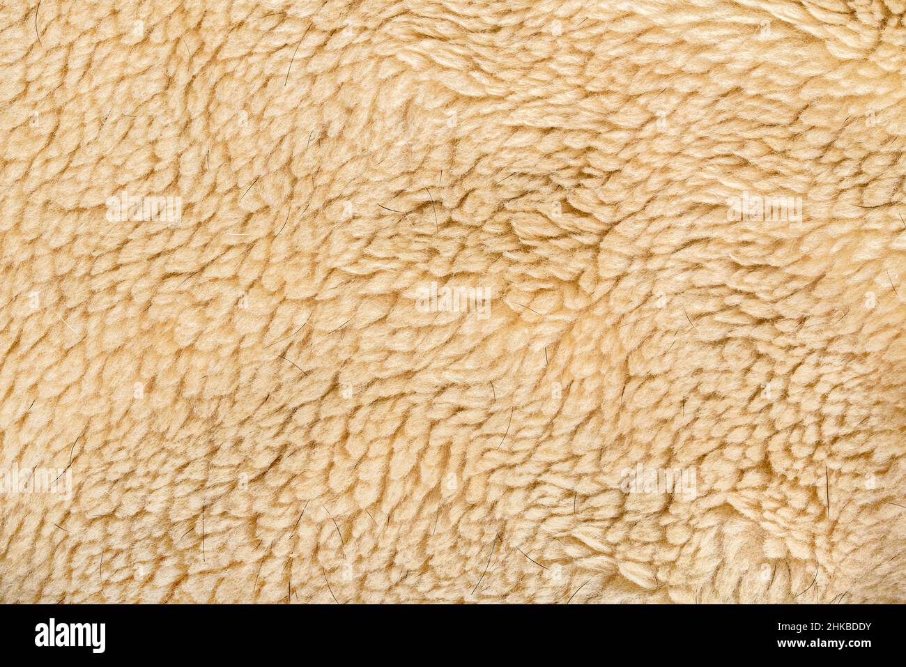 abstract background of faux fur texture closeup Stock Photo - Alamy