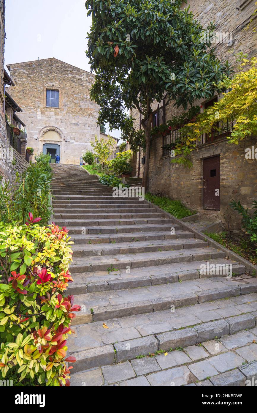 Piazza Garibaldi square, Glimpse, View of the Church of San Francesco ...