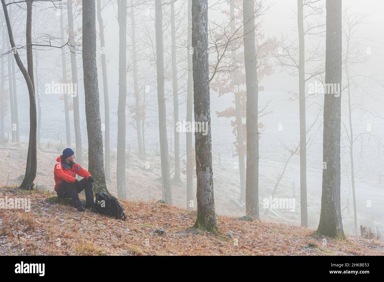 Man sitting in misty forest Stock Photo - Alamy