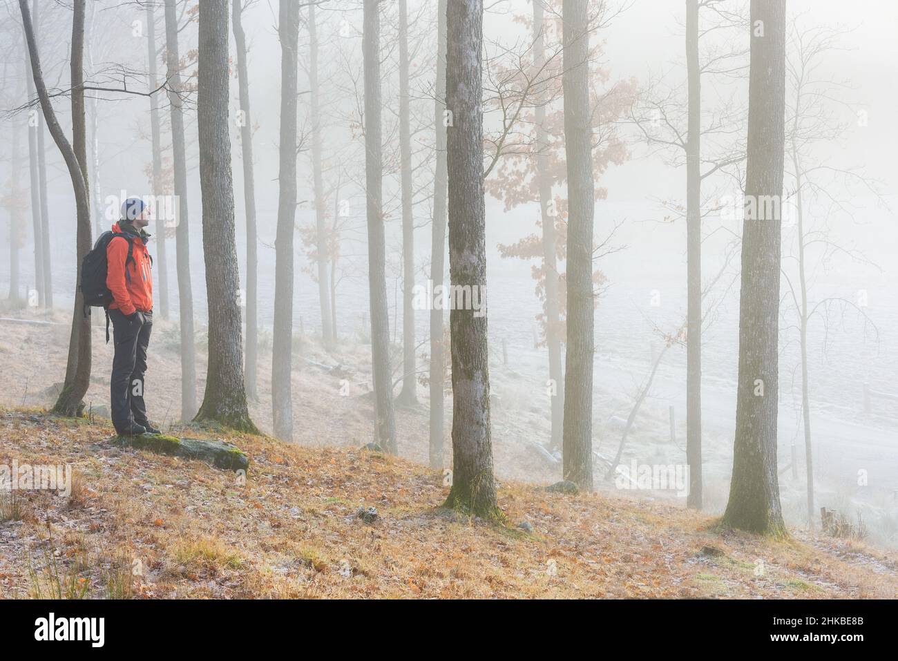 Man standing in misty forest Stock Photo - Alamy