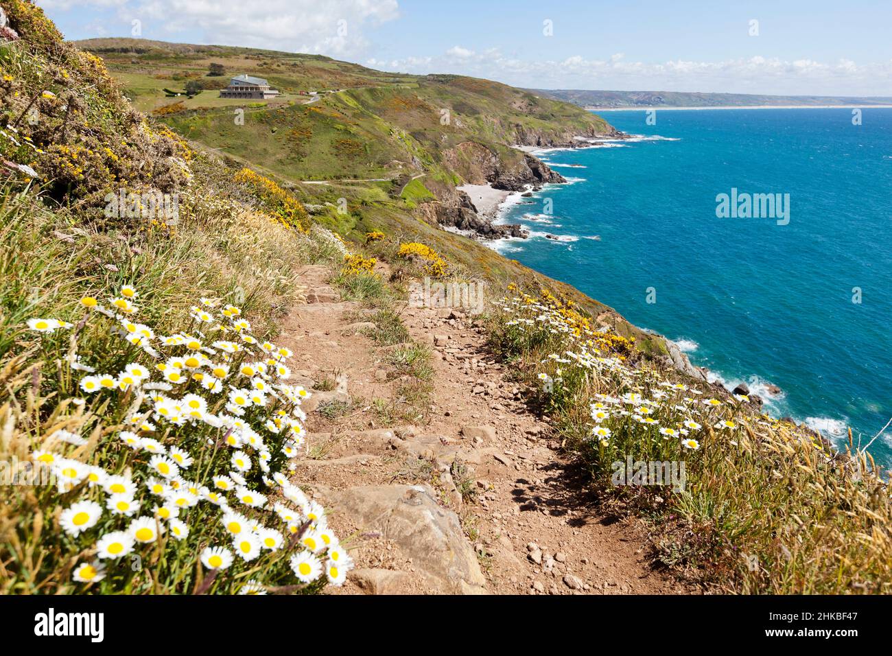 Steilküste Nez de Jobourg, Halbinsel Cotentin Normandie Frankreich ...