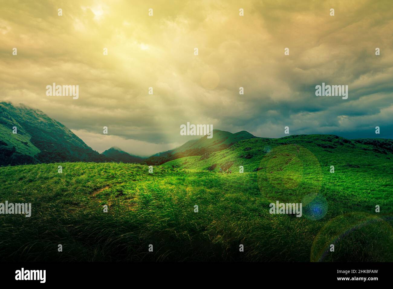 Wallpaper greenhill top tree hi-res stock photography and images - Alamy