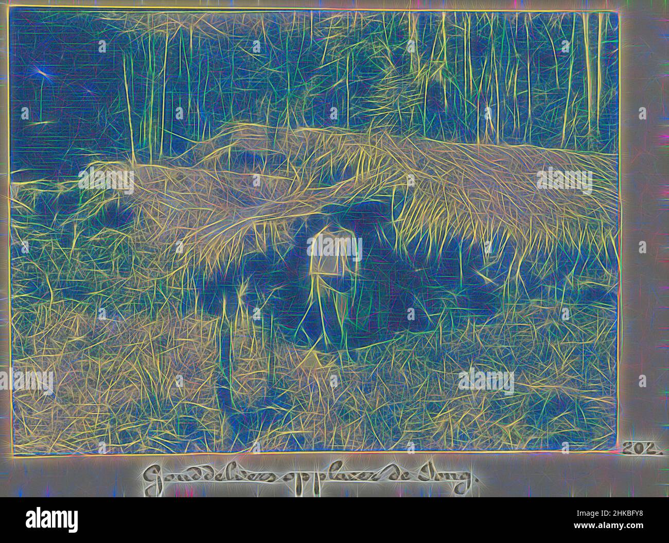 Balata camp hi-res stock photography and images - Alamy