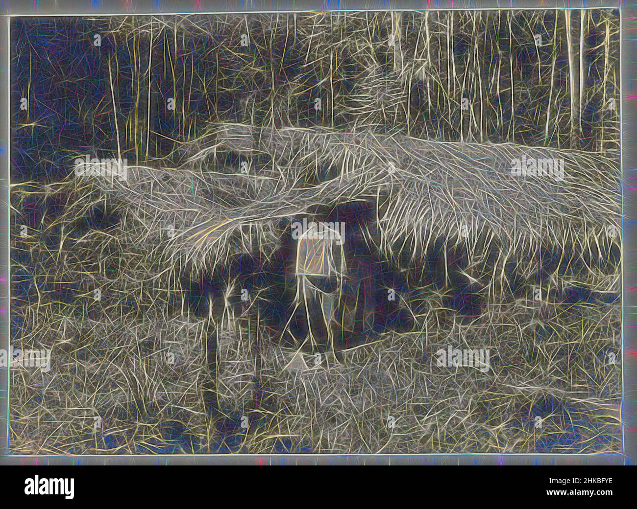 Inspired by Kaplijn south of the balatableeder camp, Kaplijn in the ...