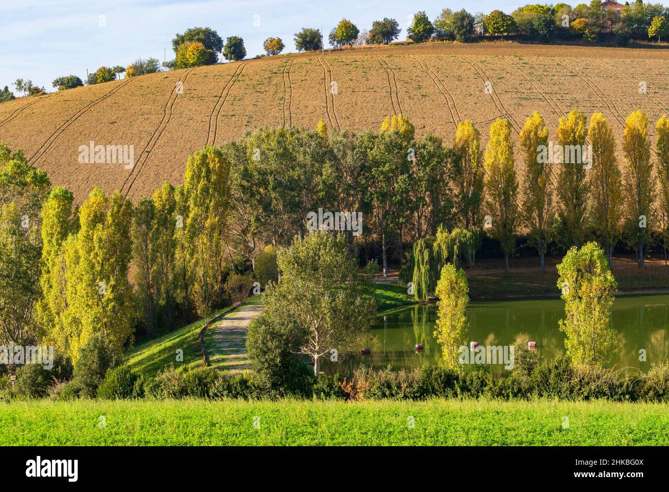 Lake of the Lucangeli Winery in Macerata, Marche, Italy, Europe Stock ...