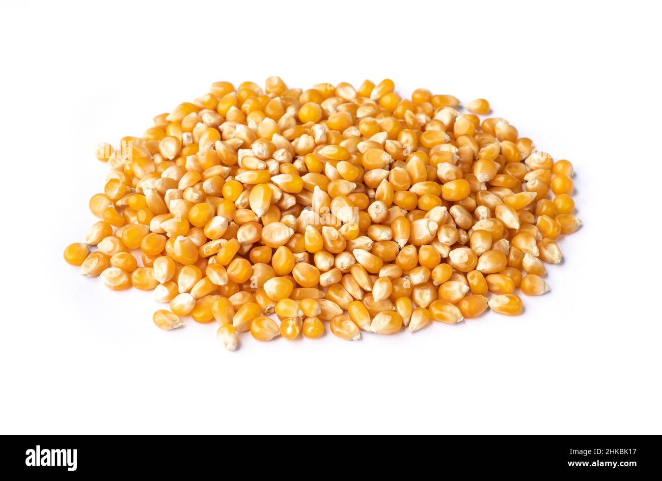 Dried corn or popcorn grains isolated over white background Stock Photo ...