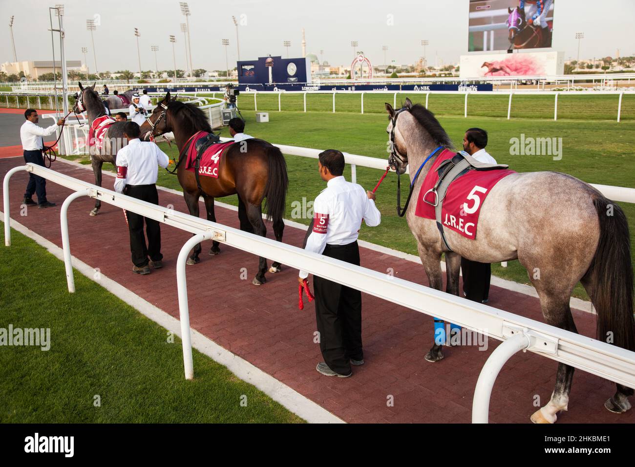 Qatar racing equestrian club doha hi-res stock photography and images ...
