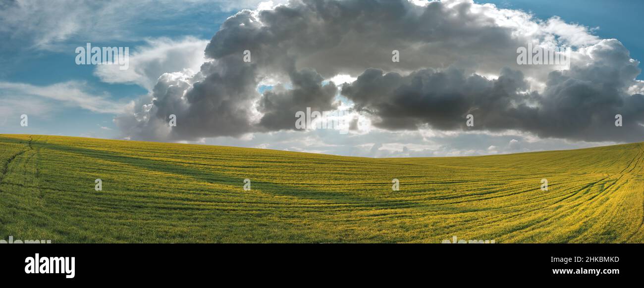 Rain clouds over wheat field hi-res stock photography and images - Alamy