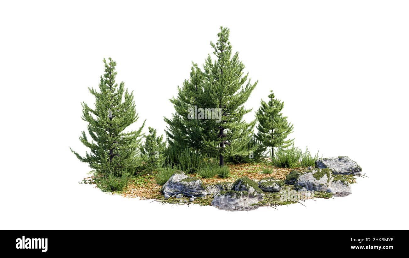 Beautiful landscaped garden on Cut Out Stock Images & Pictures - Alamy