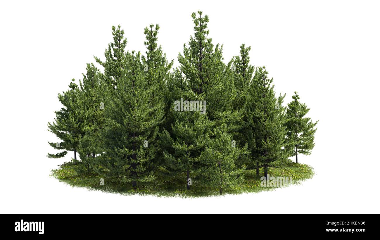 Set 3d green leaf hi-res stock photography and images - Alamy