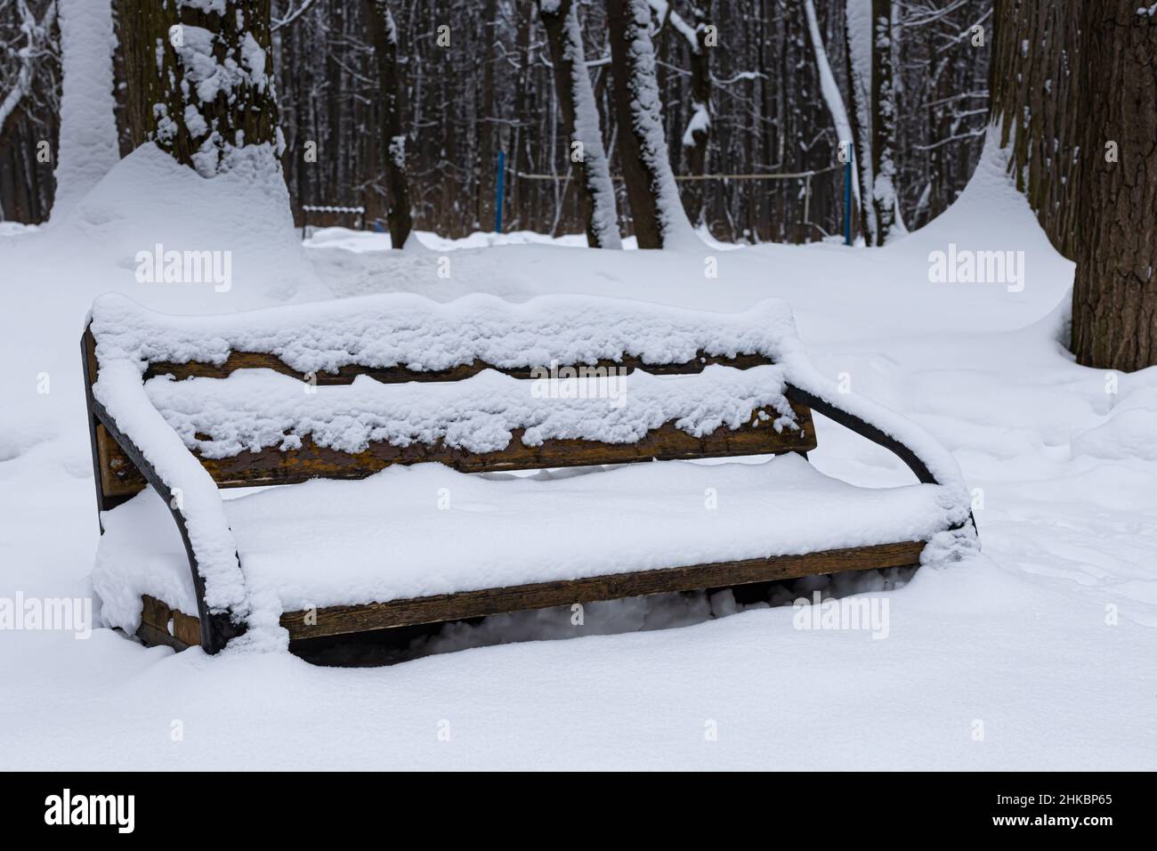 Stands under a tree hi-res stock photography and images - Alamy