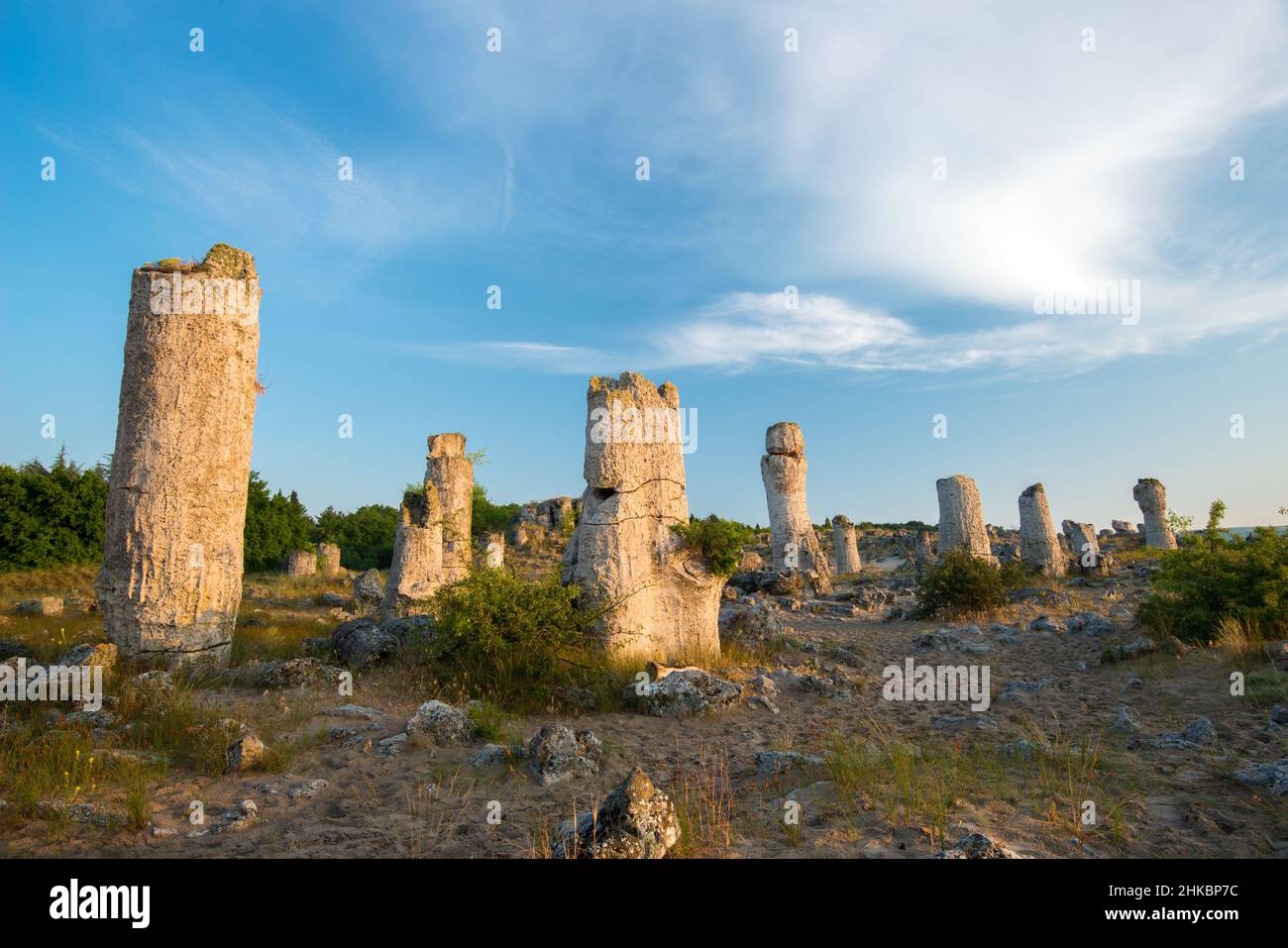 The Stone Desert Pobiti Kamani - fabulous rock phenomenon in Varna ...