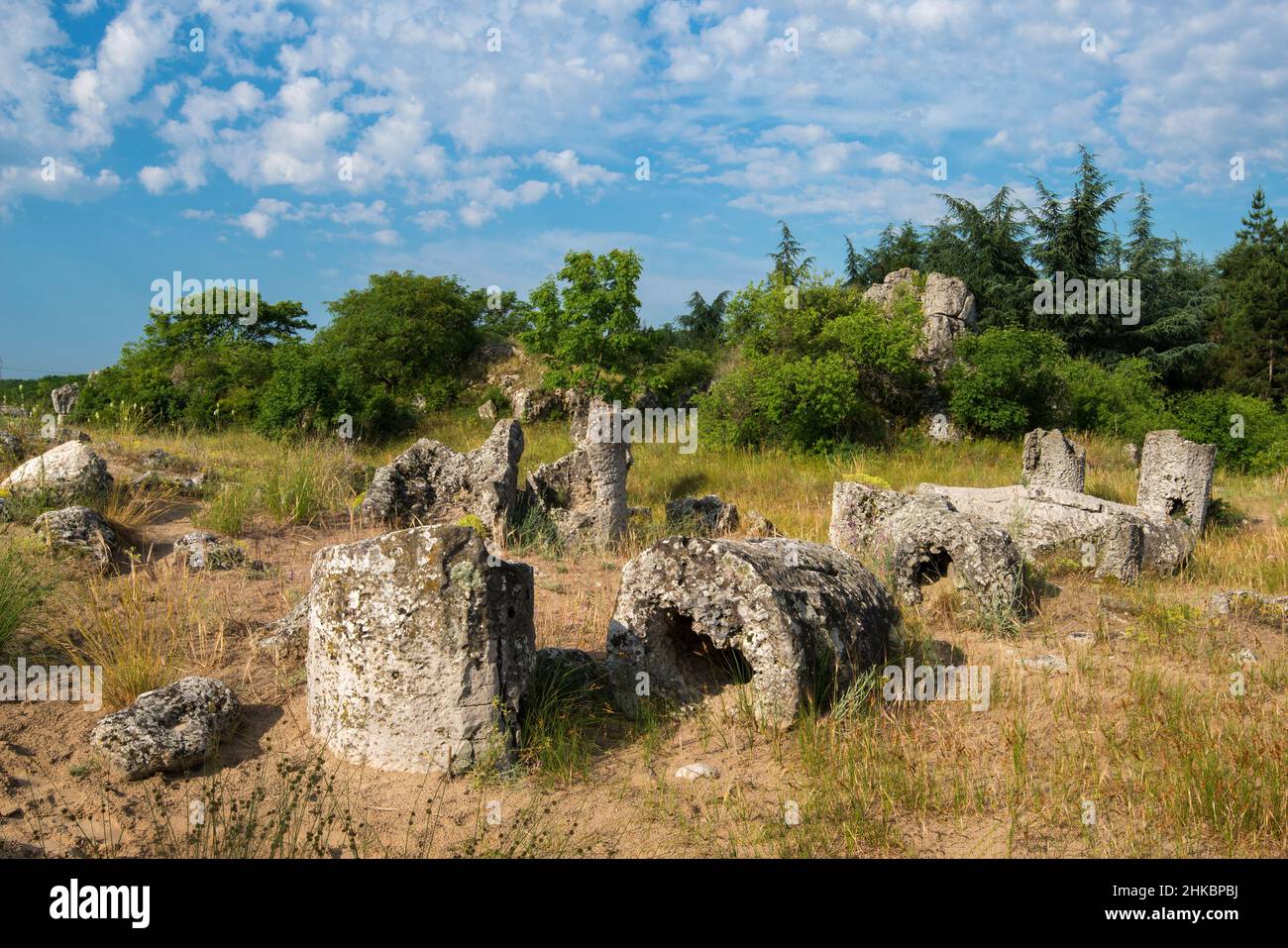 The Stone Desert Pobiti Kamani - fabulous rock phenomenon in Varna ...