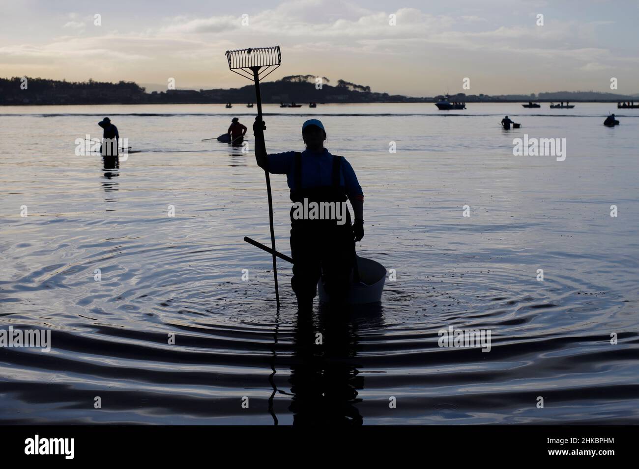 A shellfish worker looks for cockles and clams on a beach in Galicia at ...