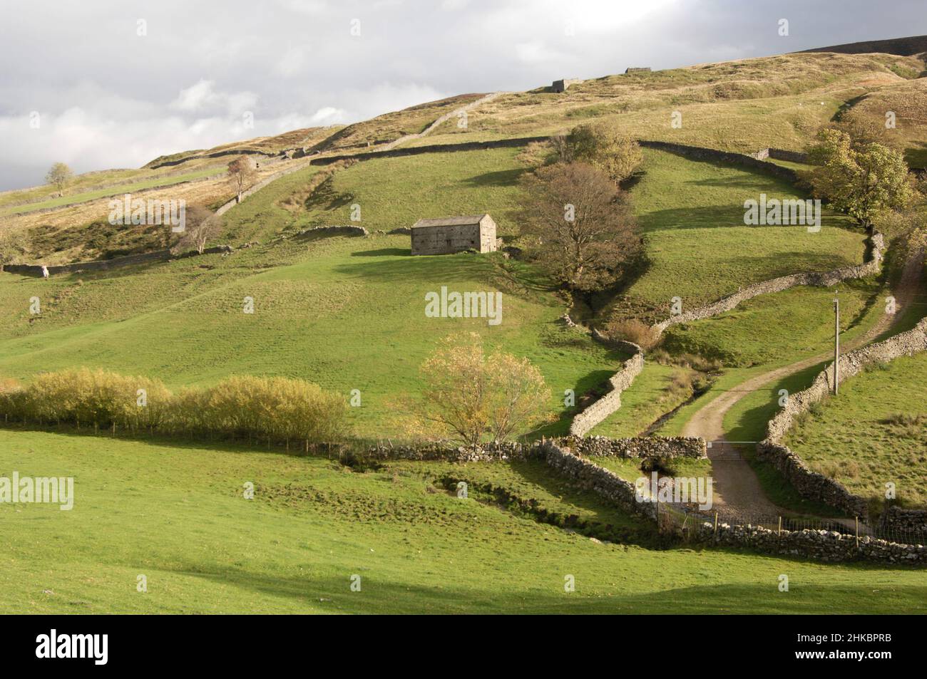 North Yorkshire farmland with dry stone walls and farm buildings Stock ...