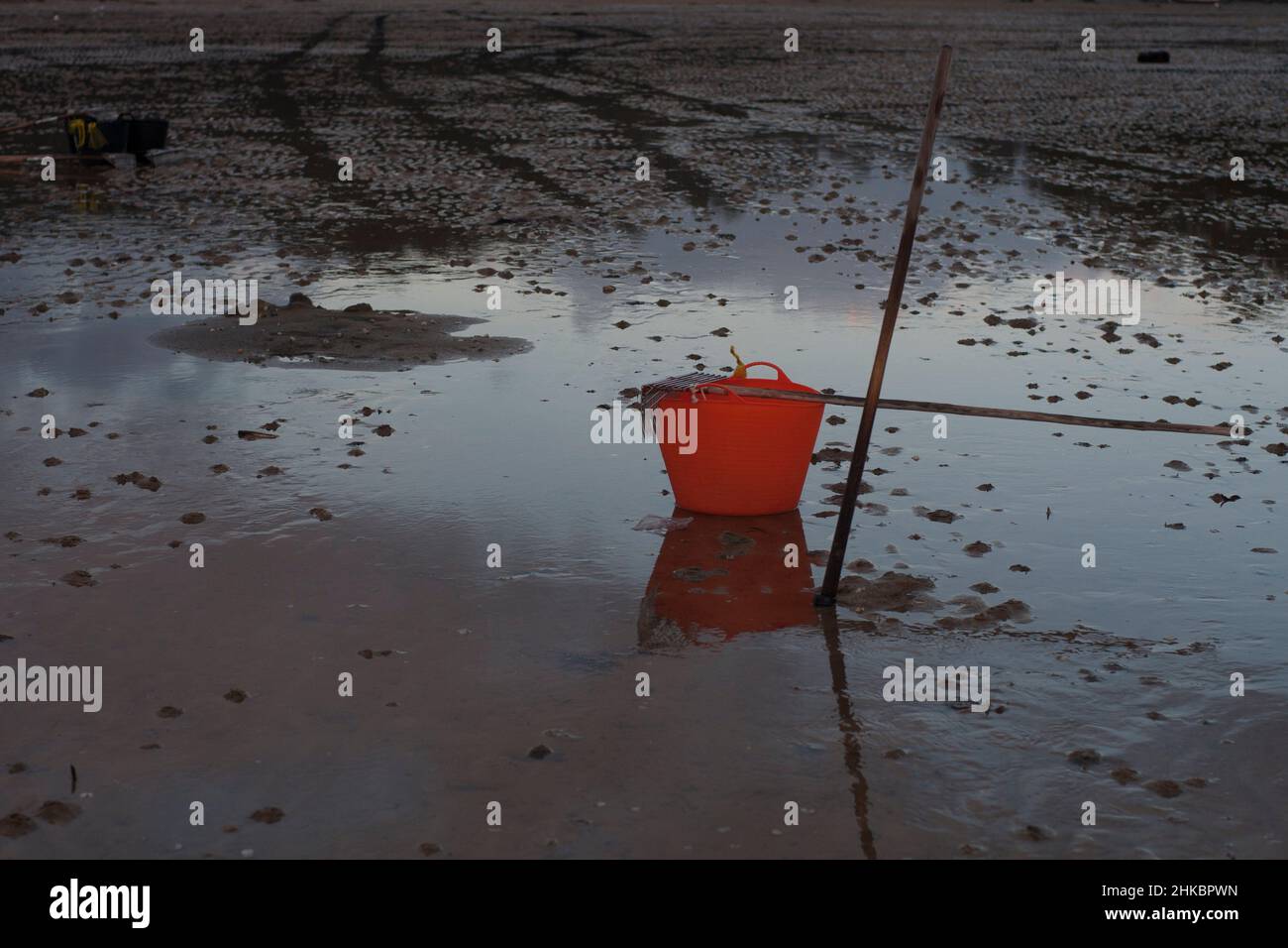 Clam rake hi-res stock photography and images - Alamy