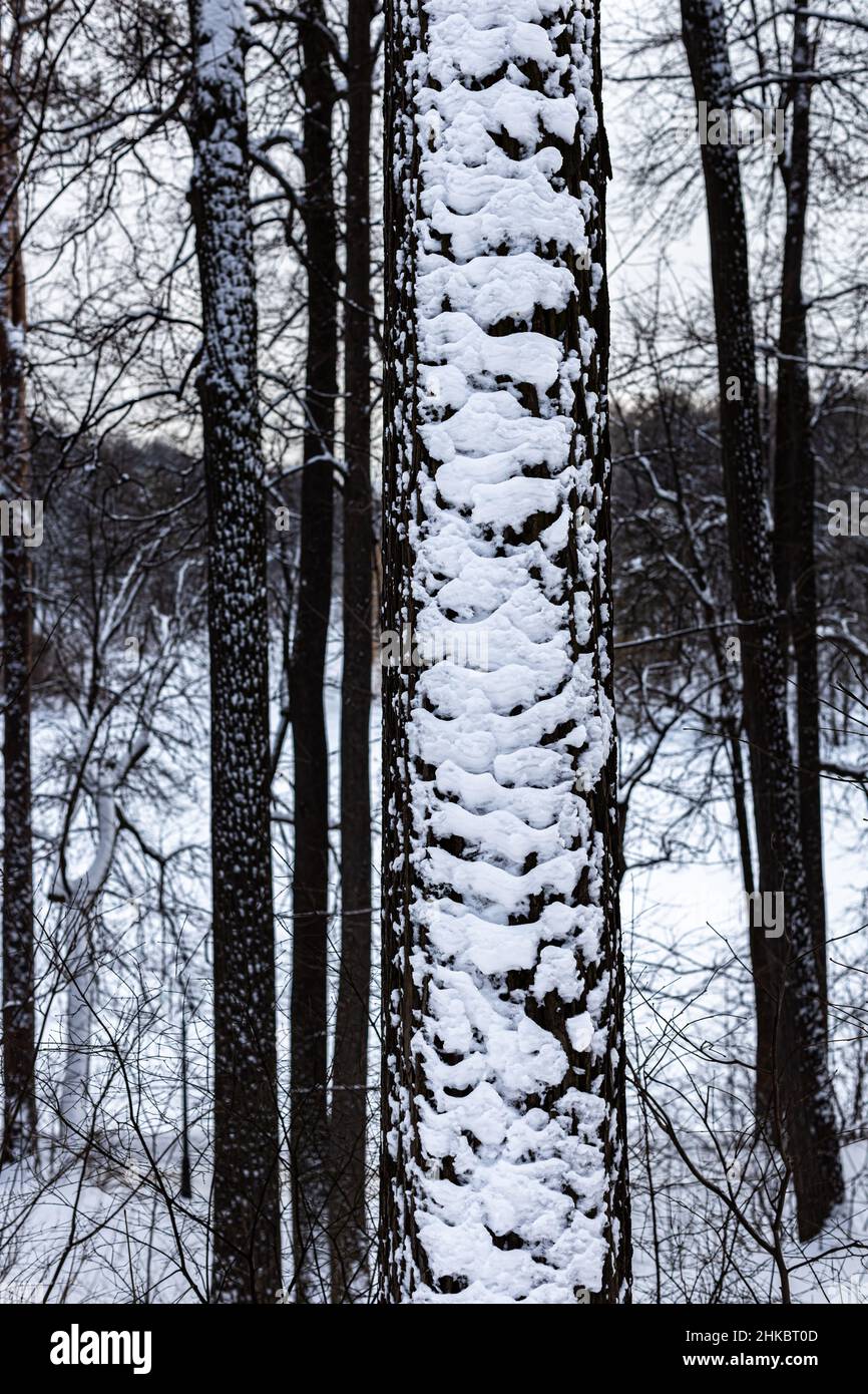 Special snow pattern hi-res stock photography and images - Alamy