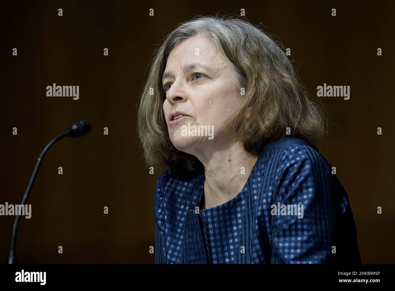 Washington, USA. 03rd Feb, 2022. Sarah Bloom Raskin, nominated to be ...