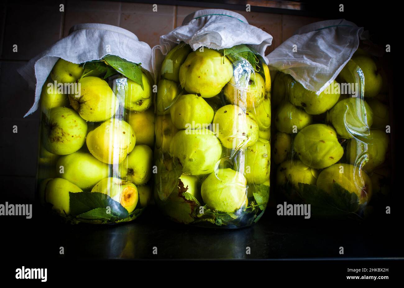 Fermentation of famous Antonovka apples variety, in traditional way ...