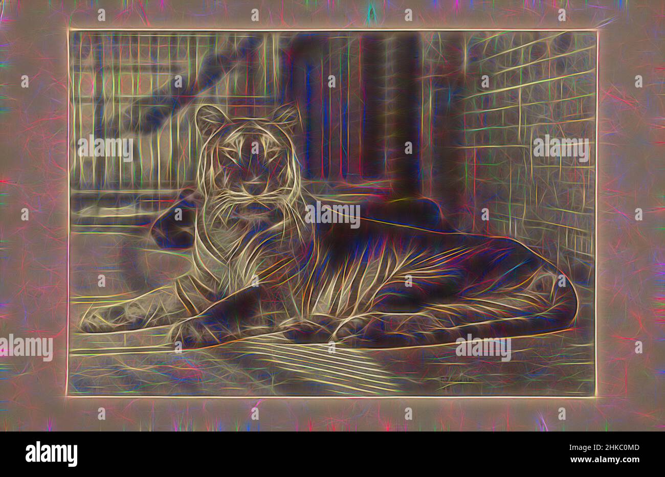 Inspired by Tiger in a zoo, Thomas James Dixon, c. 1880, carbon print ...