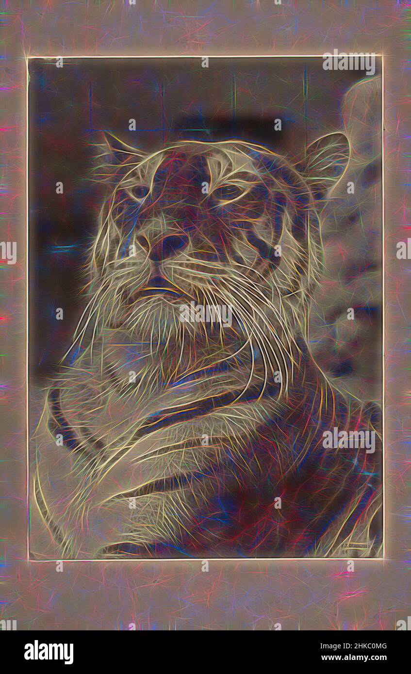 Inspired by Tiger, Thomas James Dixon, c. 1880, carbon print, height ...