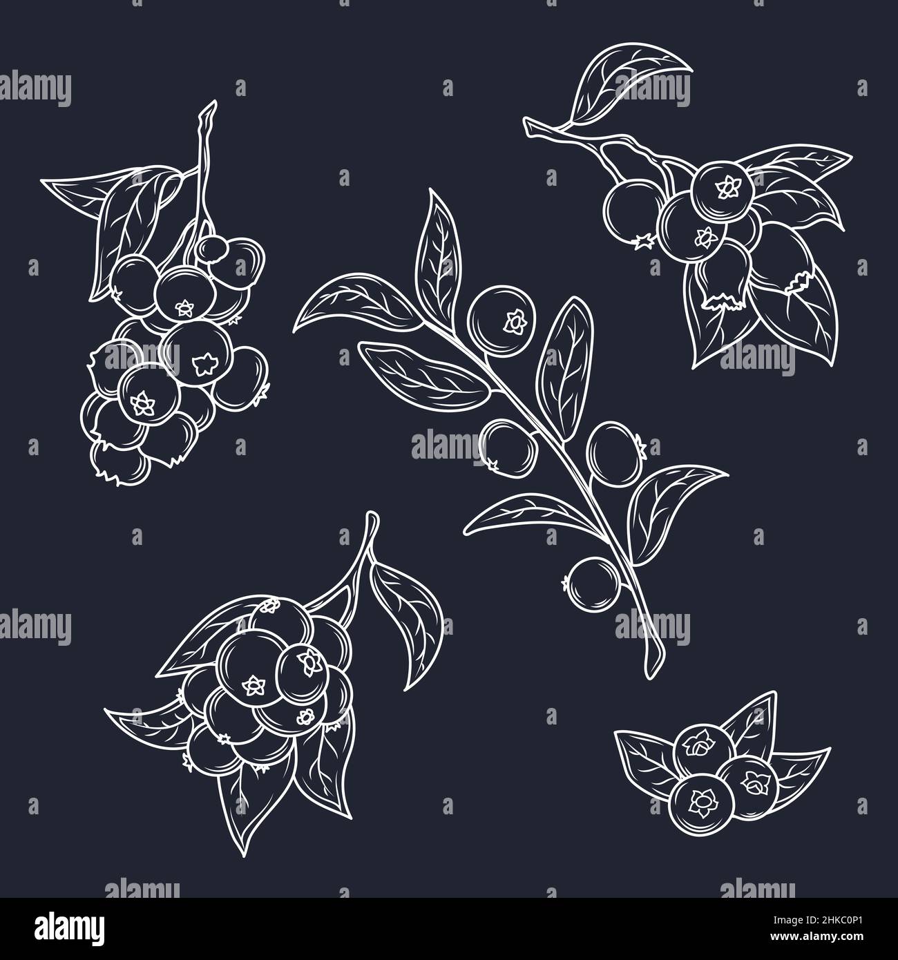 Ink engraved Stock Vector Images - Alamy