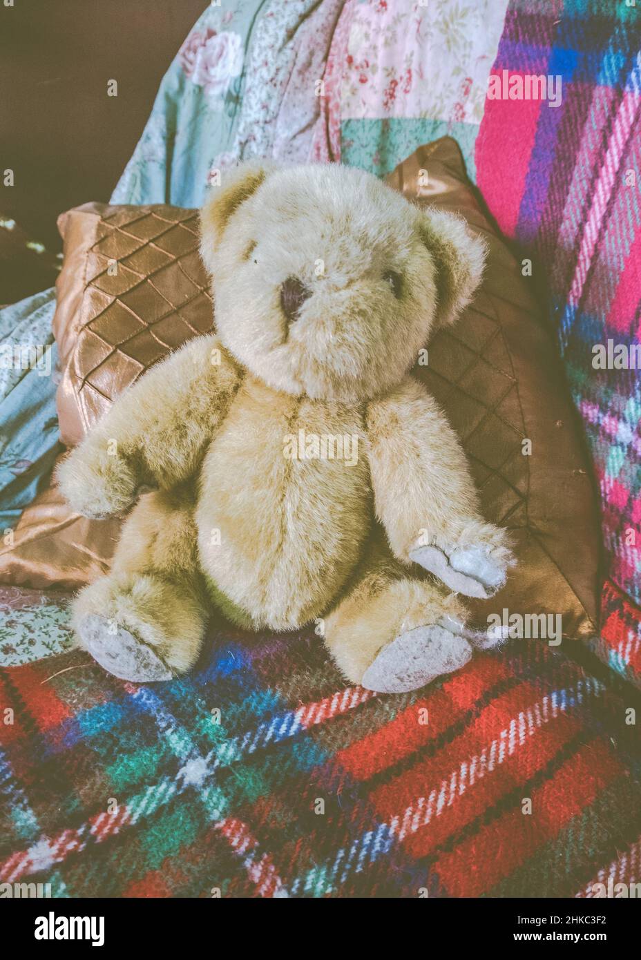 Much loved child teddy bear sat on a settee. July 2017 Stock Photo - Alamy