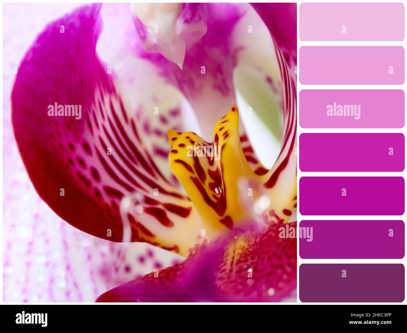 Water shades Cut Out Stock Images & Pictures - Alamy