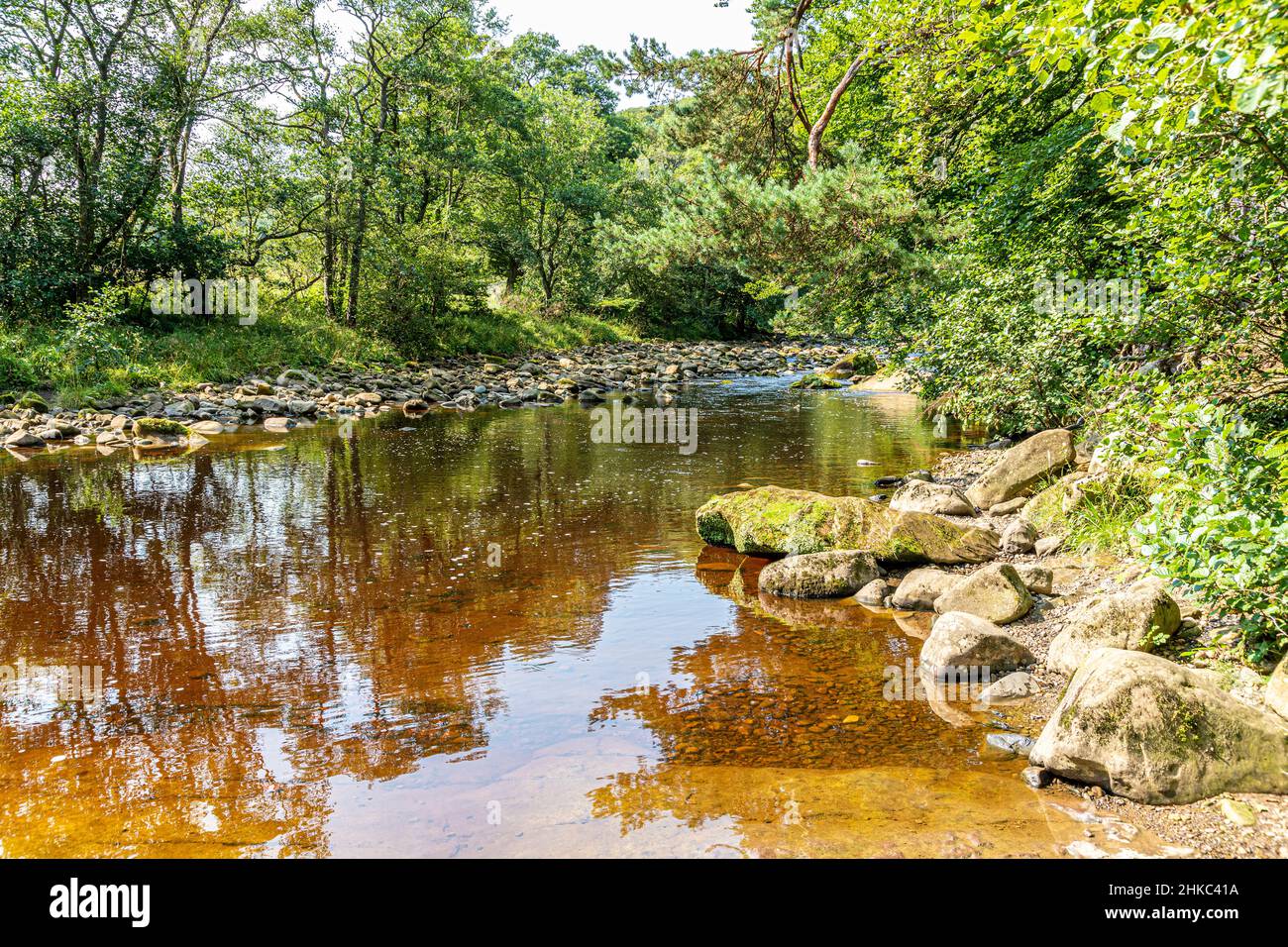 The peaty waters of the River Allen at Allen Banks near Beltingham ...