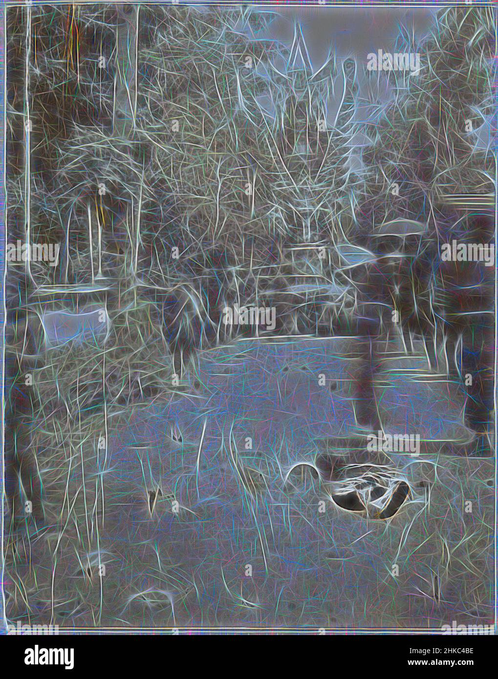 Inspired by Corpse surrounded by people, Bali, Photo taken during ...