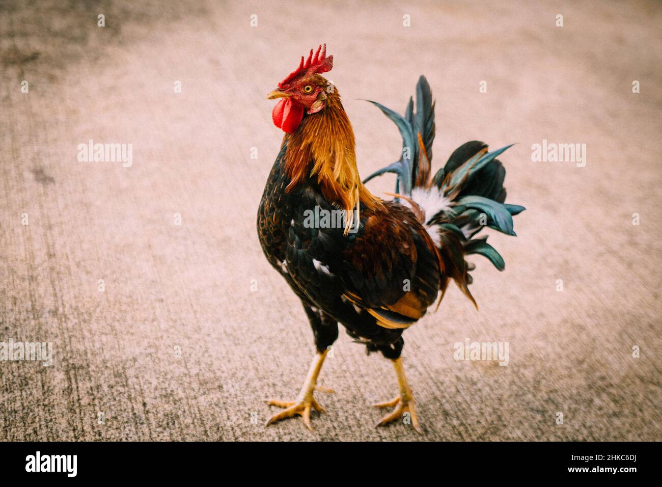 Concrete struts hi-res stock photography and images - Alamy