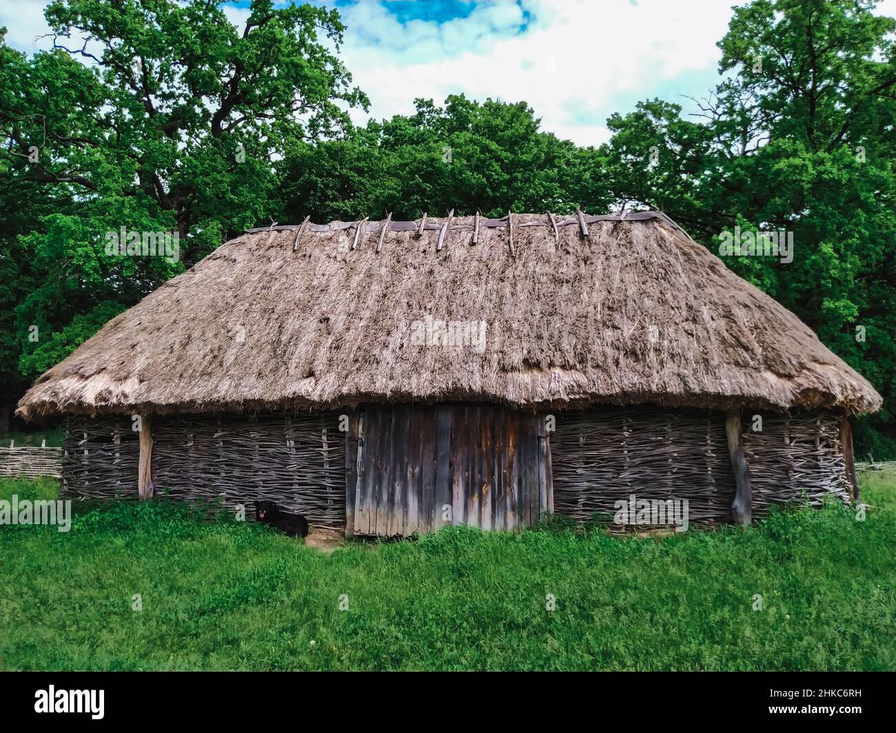 Traditional Ukrainian barn in the yard and black dog Stock Photo - Alamy