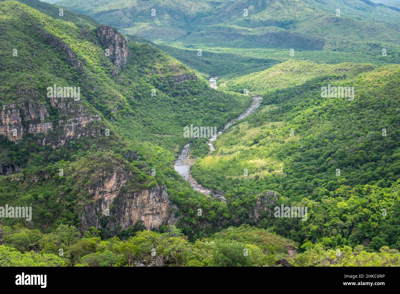 Cerrado Landscape Brazil High Resolution Stock Photography and Images ...