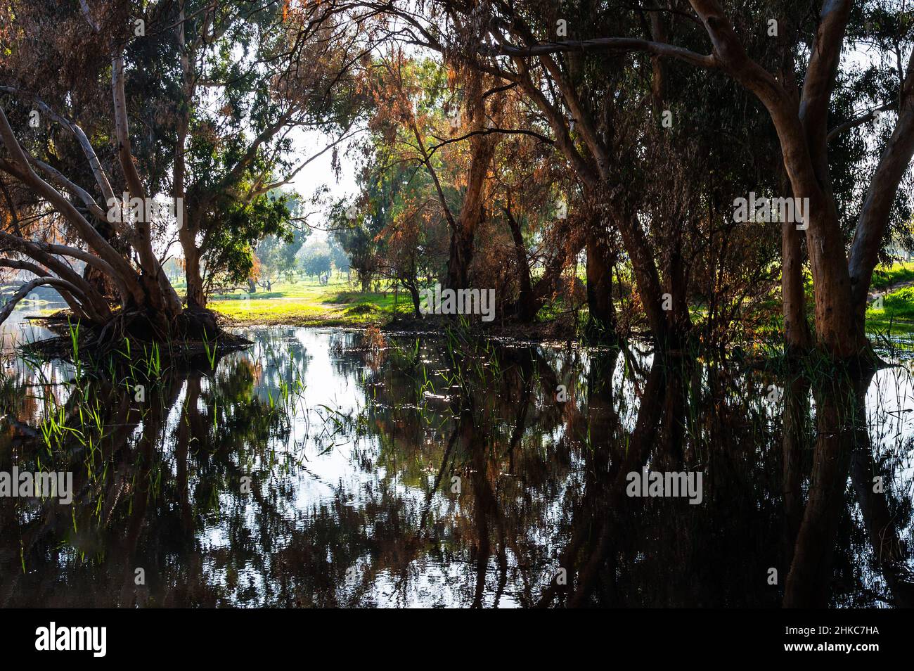 winter lake Park in Netanya in Israel Stock Photo - Alamy